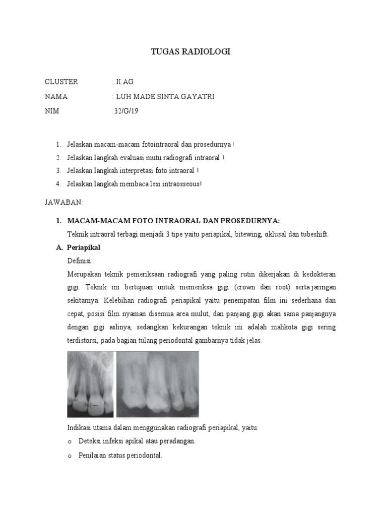 Tugas Interpretasi Mahasiswa 15012019 | PDF
