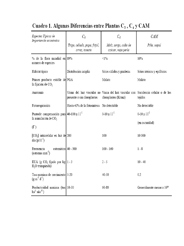 plantas c3 c4 y cam
