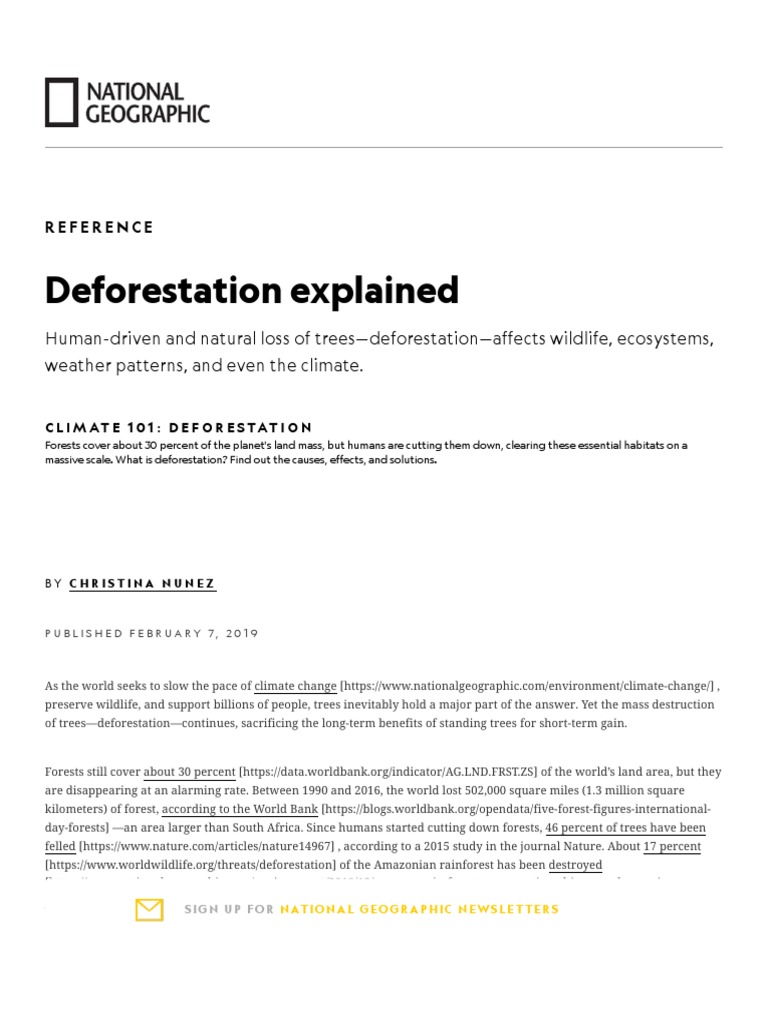 Deforestation Facts and Information PDF | PDF | Deforestation | Global ...