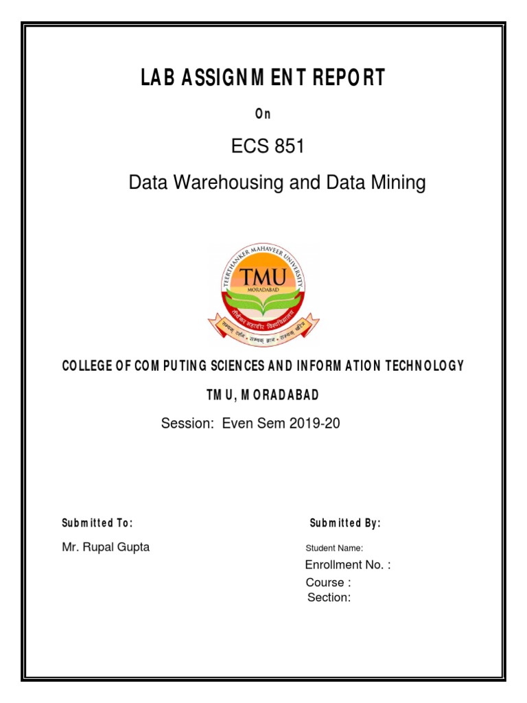 Lab Assignment Report: ECS 851 Data Warehousing and Data Mining | PDF