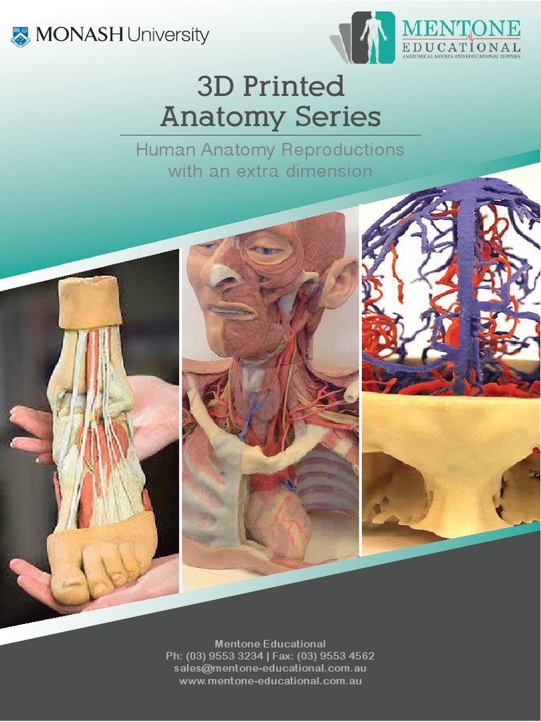 3D Printed Anatomy | PDF | Arm | Thumb