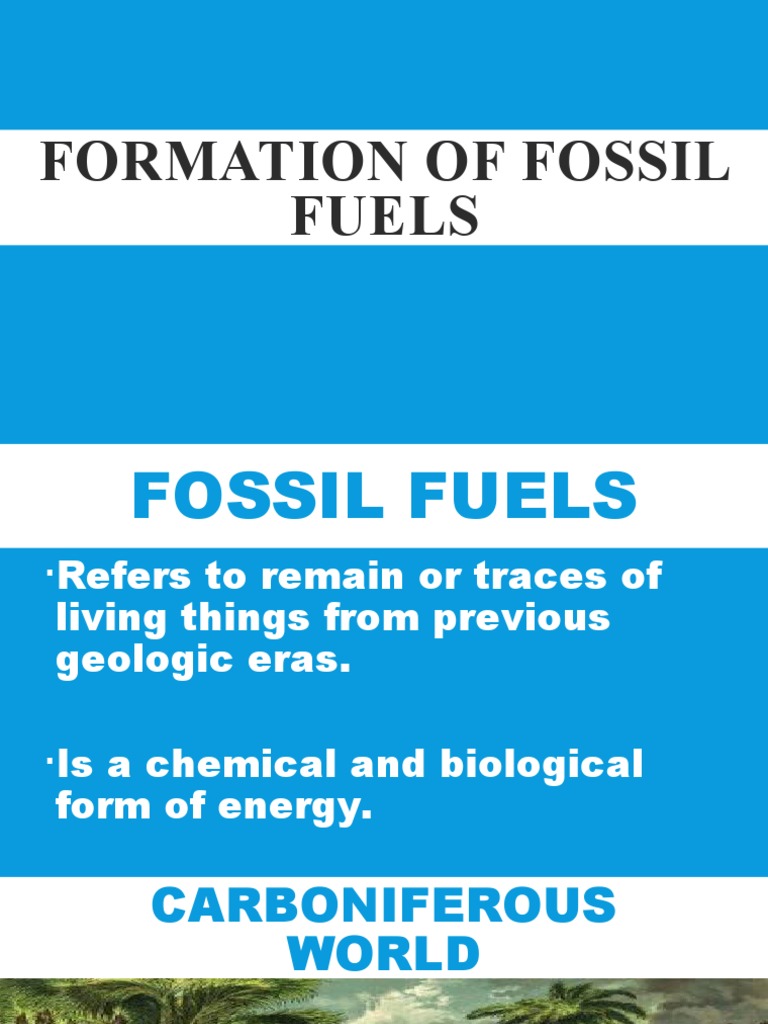 Fossil Fuels | PDF