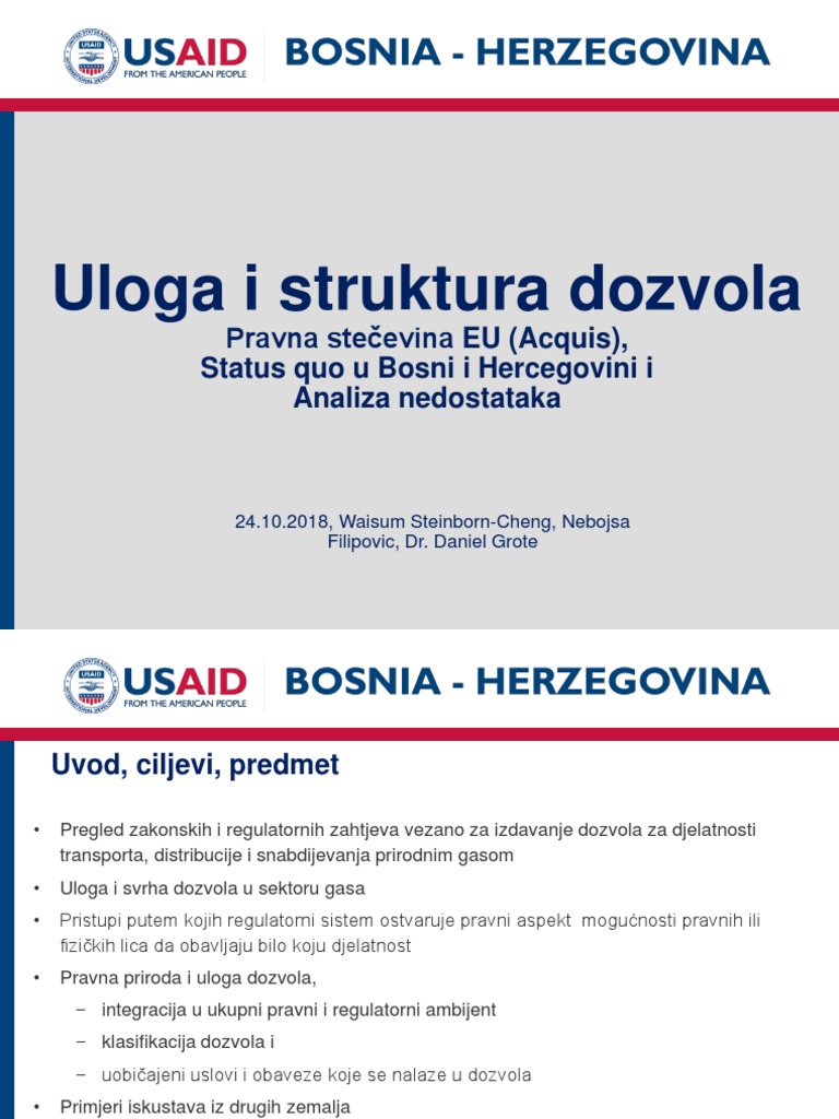 Uloga I Struktura Dozvola Waisum Steinborg Cheng Nebojsa Filipovic Dr ...