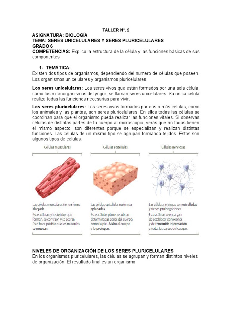 Guia Organismos Unicelulares | PDF