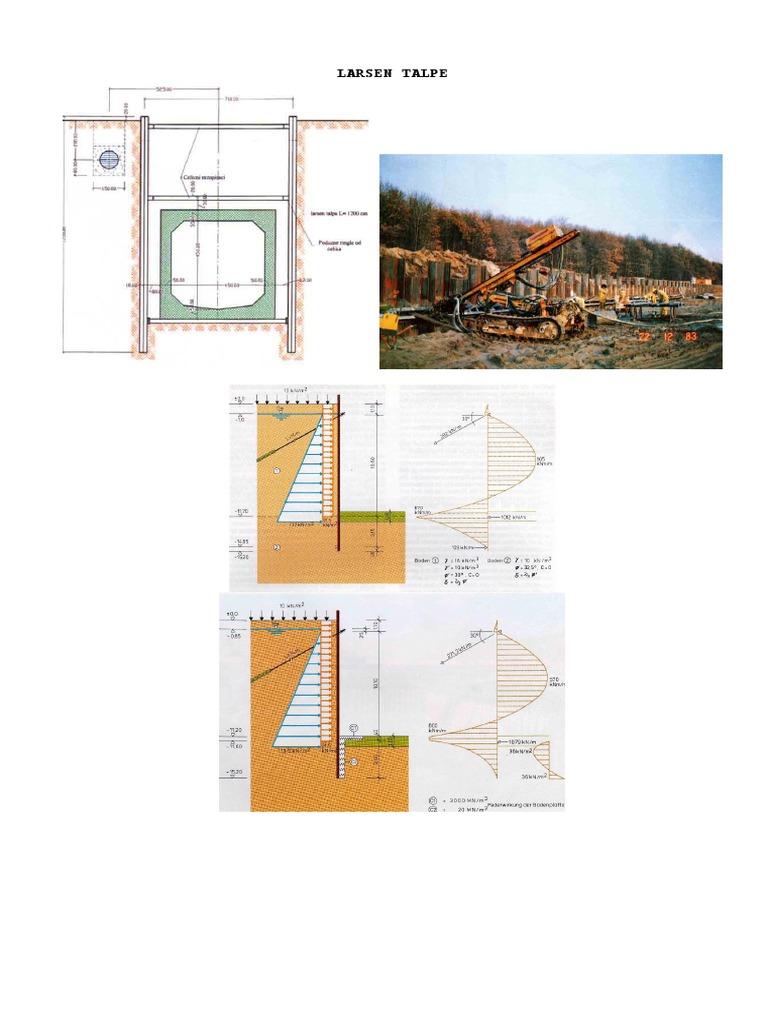 Larsen Talpe PDF | PDF