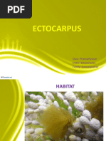 Bioassay Procedure For Three Point and Four Point | PDF | Bioassay ...