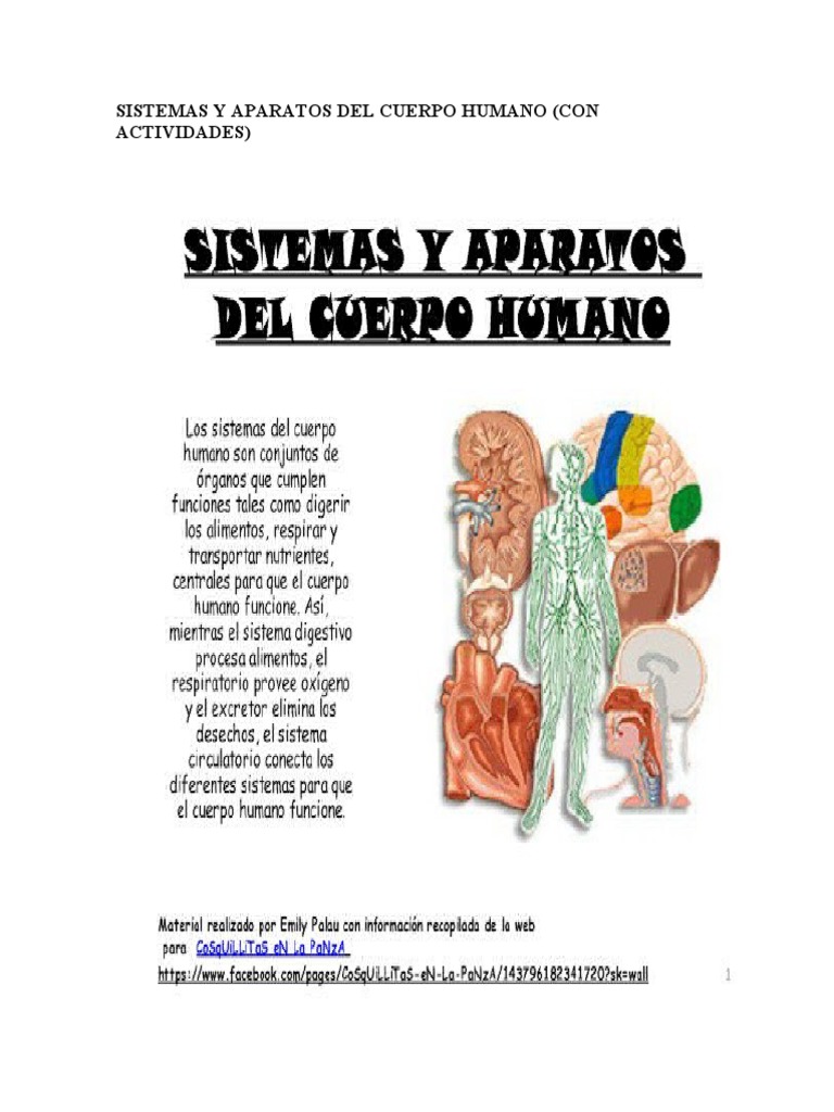 Sistemas Y Aparatos Del Cuerpo Humano Pdf