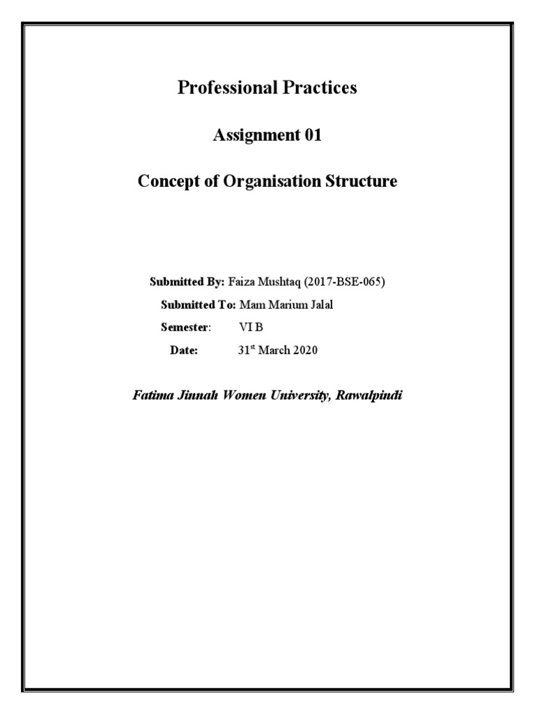 Professional Practices: Assignment 01 Concept of Organisation Structure ...