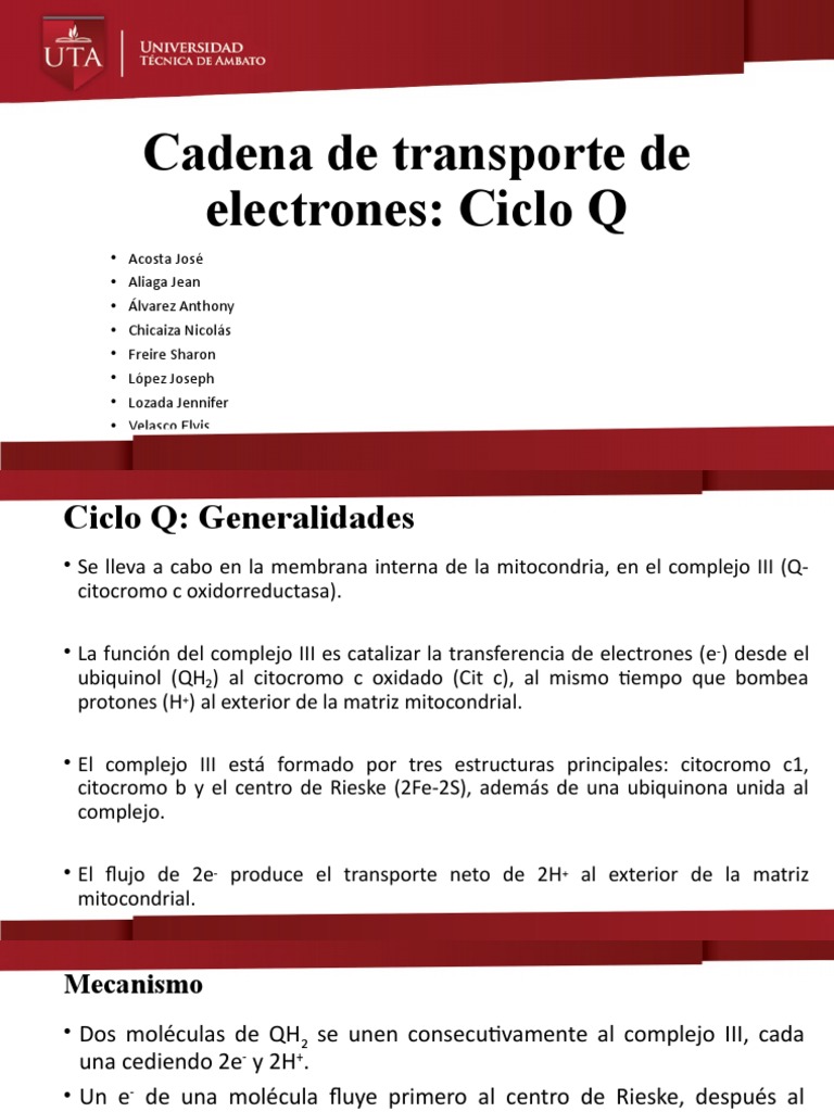 Ciclo Q | PDF