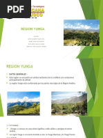 Flora y Fauna de La Región Yunga: Recuerda | PDF | Plantas | Naturaleza