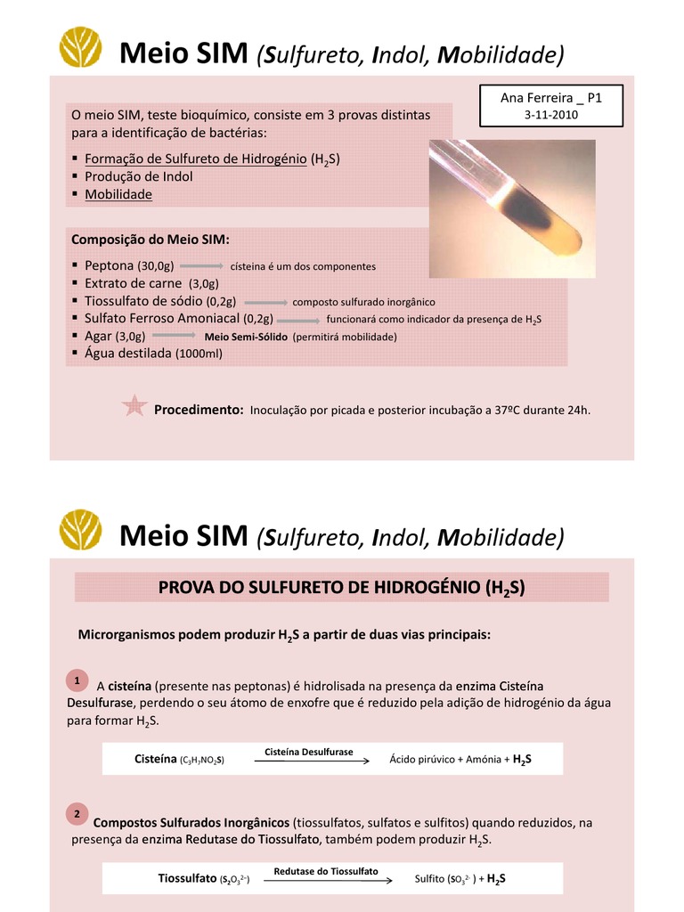 SIM H2S e Mobilidade | PDF | Sulfureto | Compostos químicos