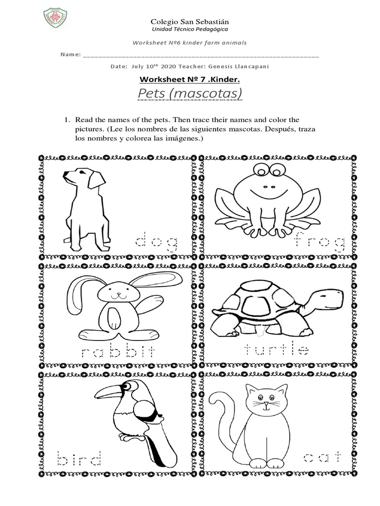 Guia #7 Pets Vocabulary | PDF