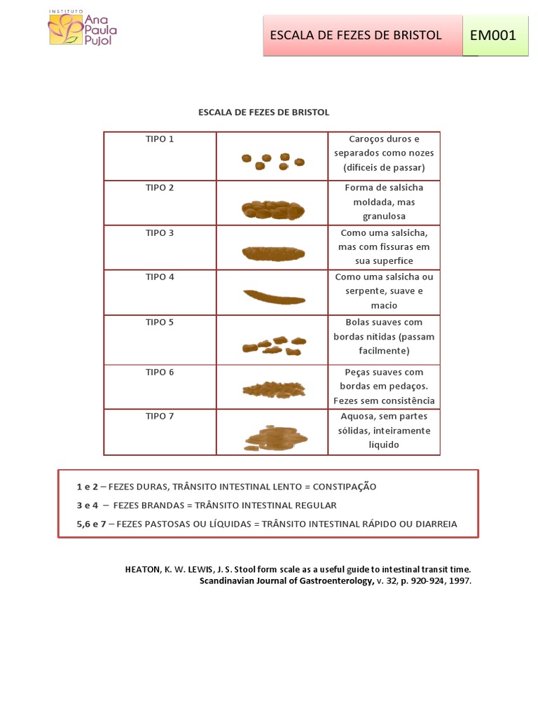 Escala Fezes Bistrol | PDF