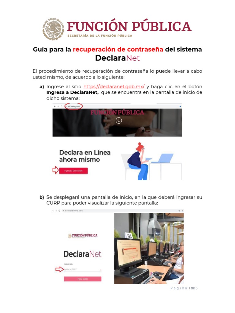 Guia para La Recuperación de Contraseña DeclaraNet | PDF