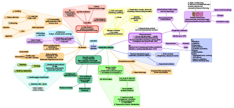 Swine Disease | PDF | Diarrhea | Veterinary Medicine