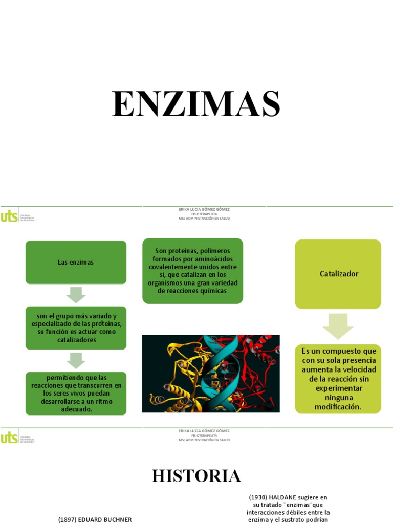 Enzimas | PDF | Enzima | Trifosfato de adenosina