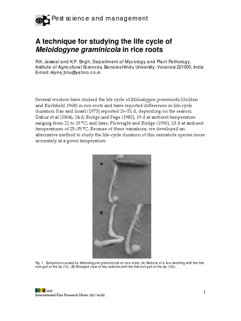A Technique For Studying The Life Cycle of Meloidogyne Graminicola in ...