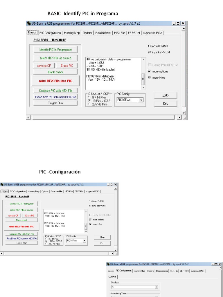 BASIC Identify PIC in Programa | PDF