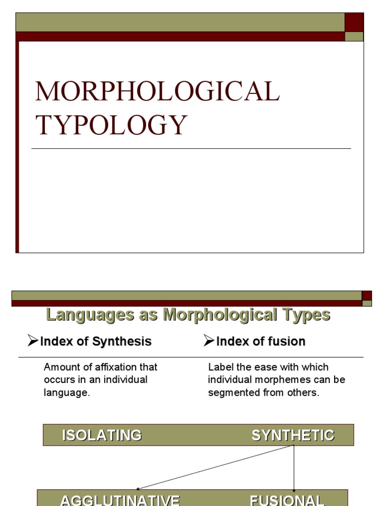 Morphological Typology of Languages | PDF | Morphology (Linguistics ...