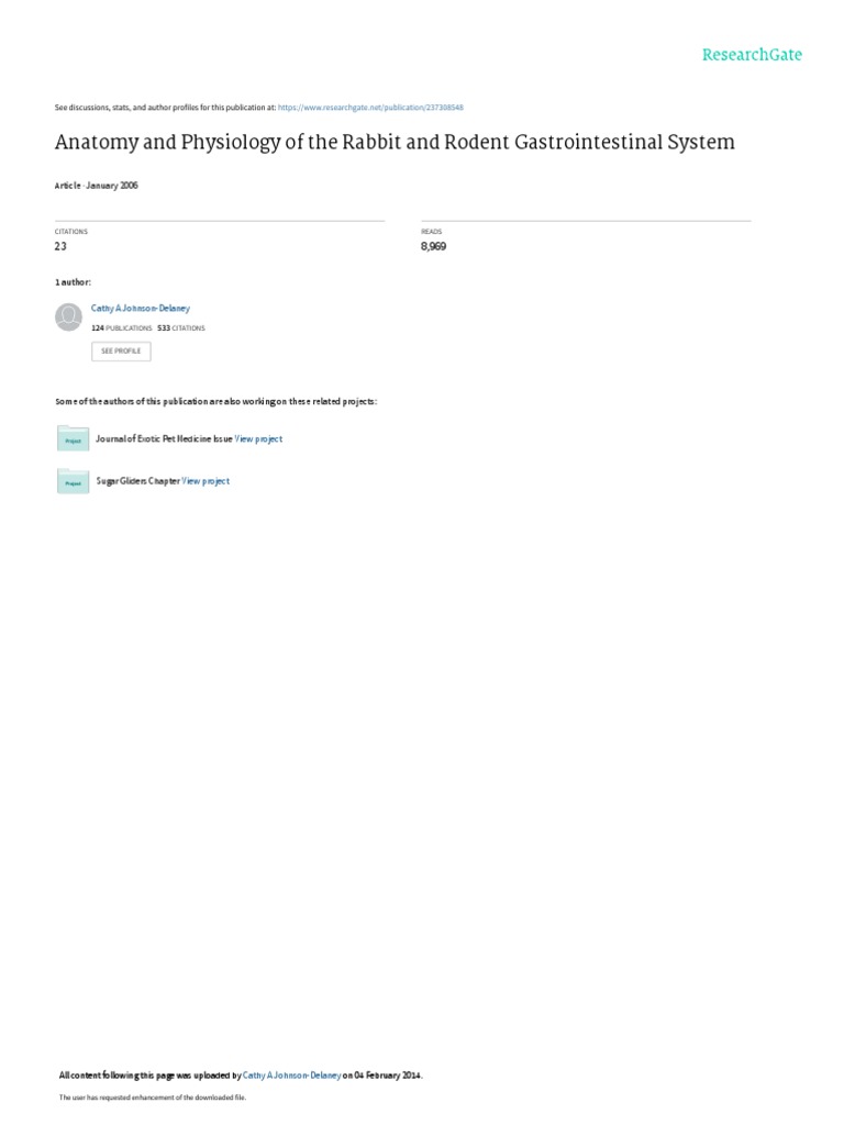 Anatomy and Physiology of The Rabbit and Rodent Ga | PDF | Stomach ...