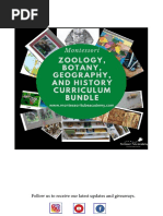 History Question Charts Helena | PDF | Question | Montessori Education