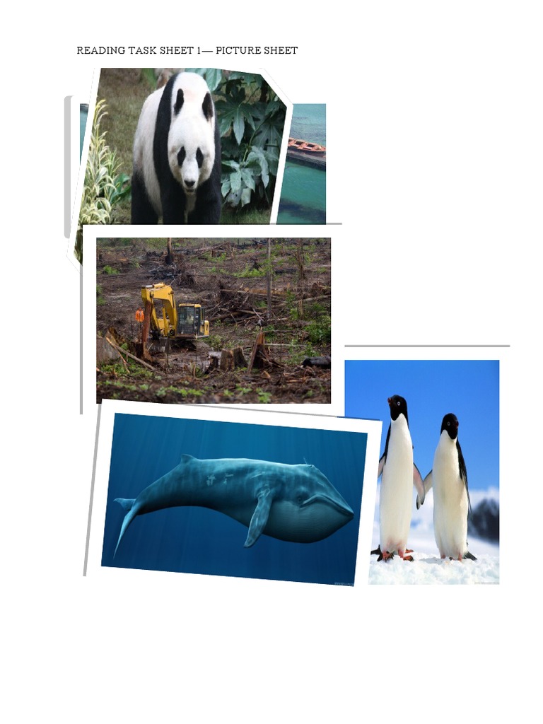 Reading - Task Sheet - 1 | PDF