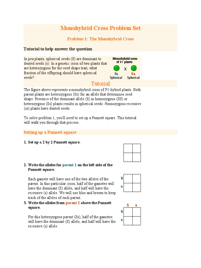 Monohybrid Cross Problem Set | PDF