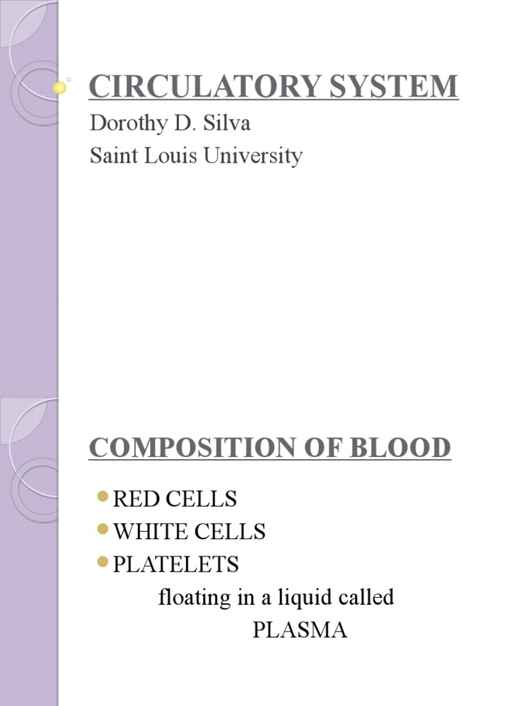 Overview of the Circulatory System | PDF | Lymphatic System | Heart