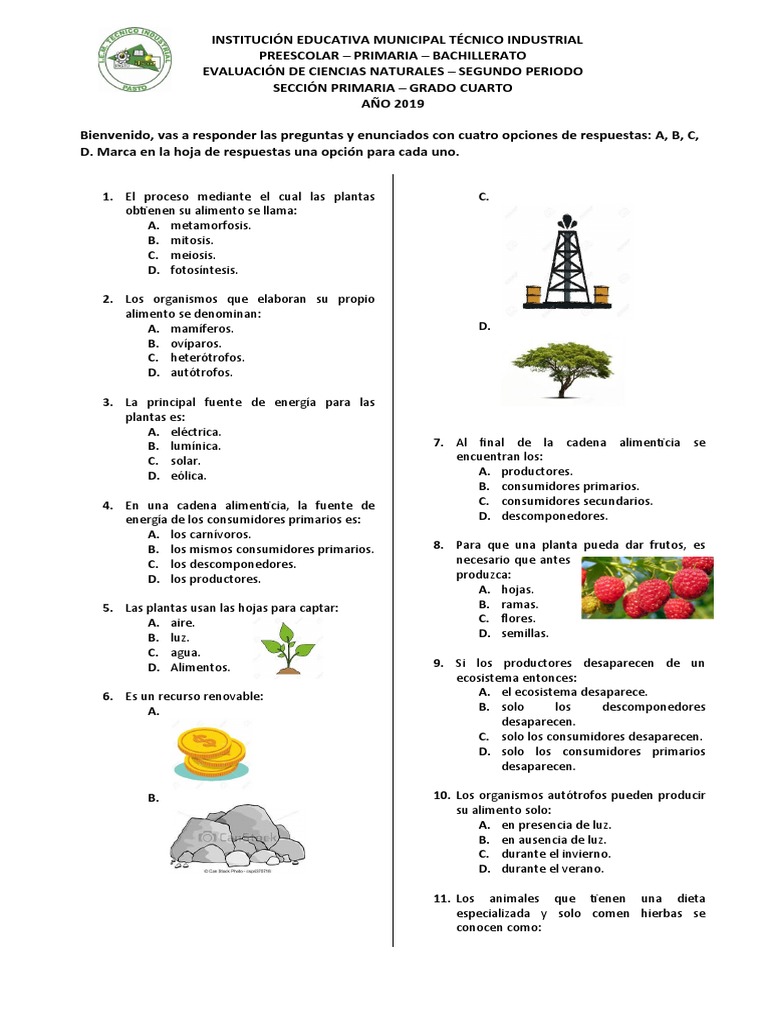 EXAMEN DE Naturales Segundo PERIODO GRADO Cua | PDF | Plantas | Alimentos