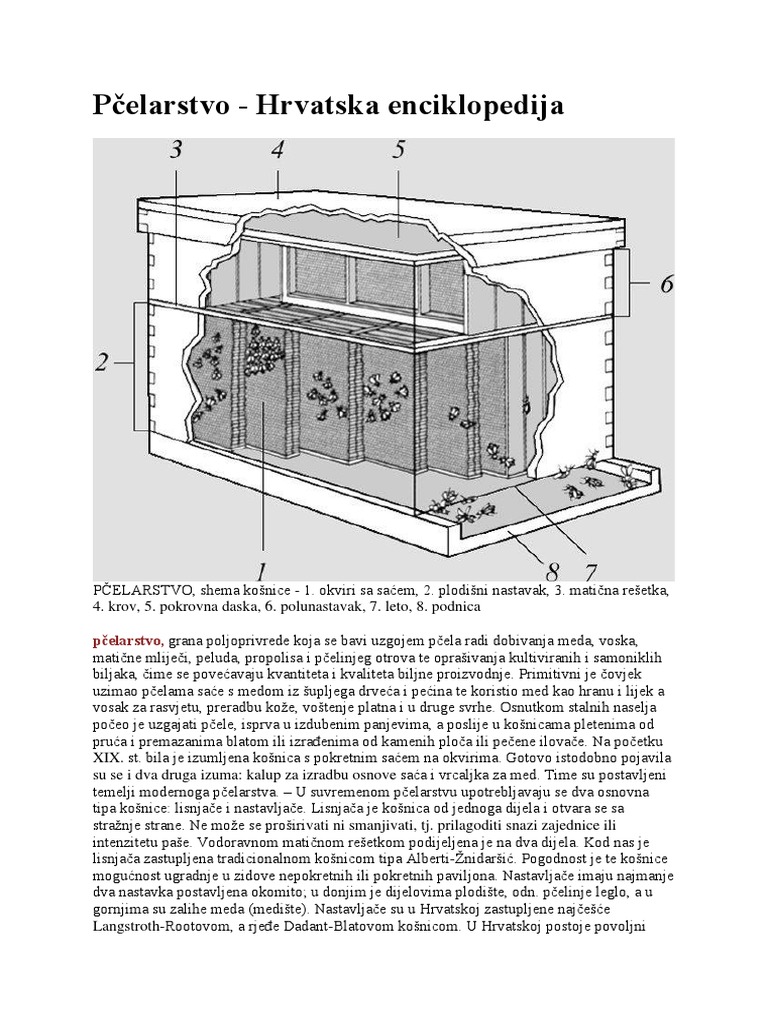 Pčelarstvo - Hrvatska Enciklopedija | PDF