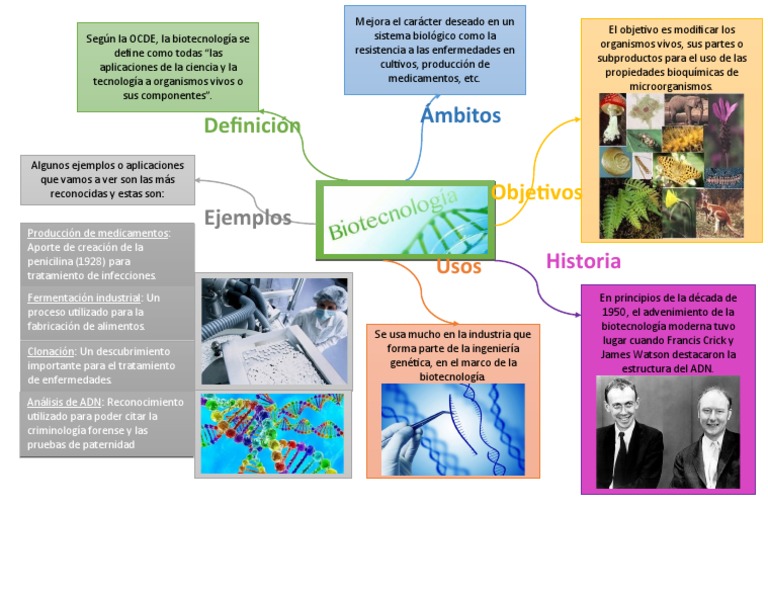 MAPA MENTAL Act. 6 TECNOLOGÍA | PDF | Biotecnología | Ciencias de la vida