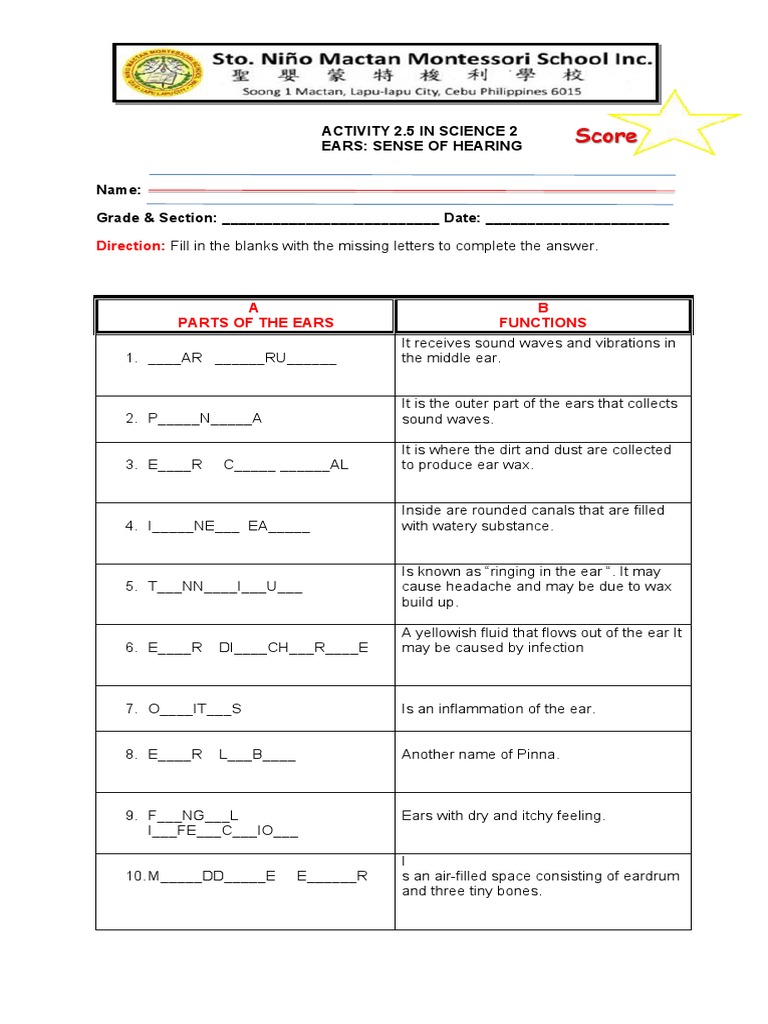 Ears: Hearing Parts and Functions Quiz | PDF