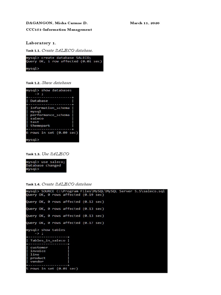 Create SALECO Database.: Laboratory 1 | PDF | Computers | Technology & Engineering