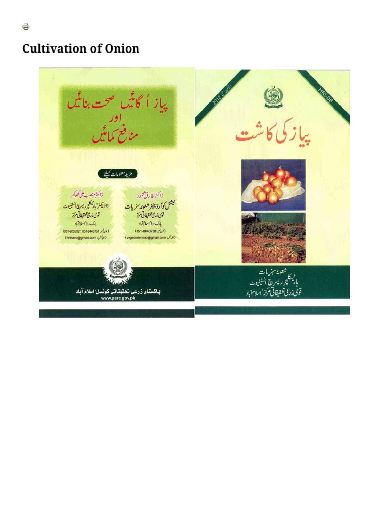 Onion Growing | PDF