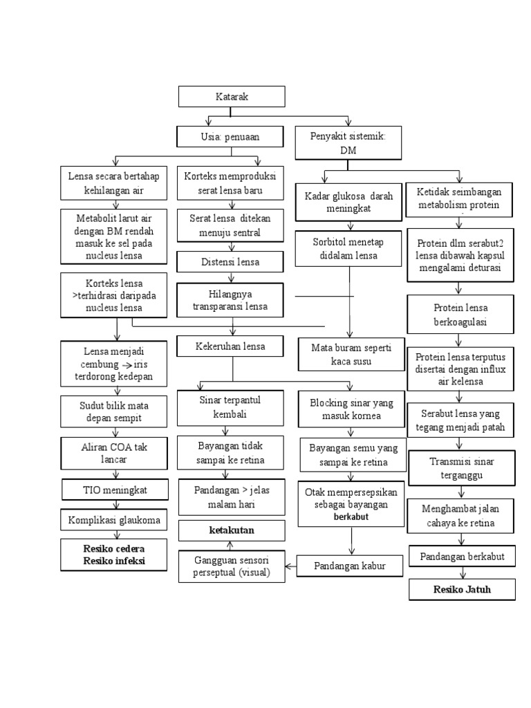Pathway Katarak | PDF