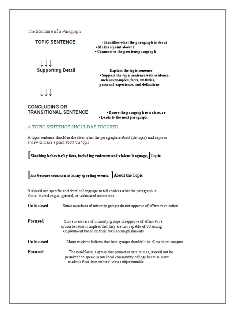 The Structure of A Paragraph | PDF | Retail | E Commerce