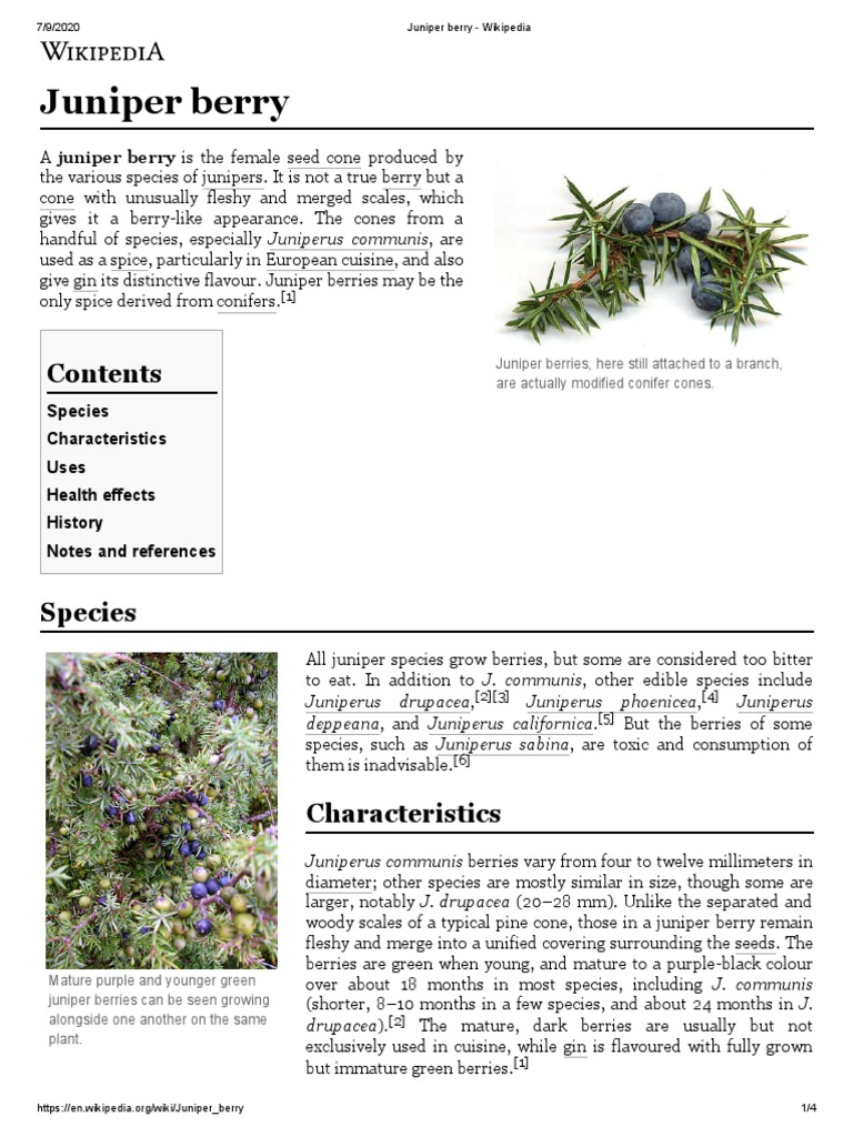 Juniper Berry: Species Characteristics Uses Health Effects History ...