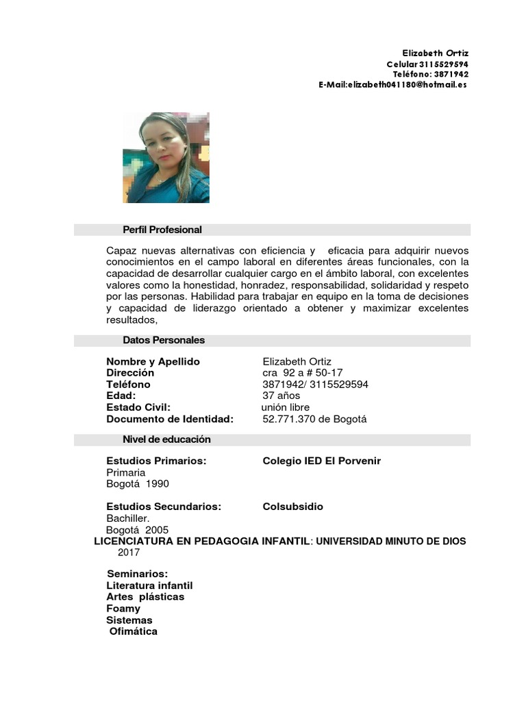 Hoja de Vida Elizabeth Actualizada PDF | PDF | Maestros | Aprendizaje