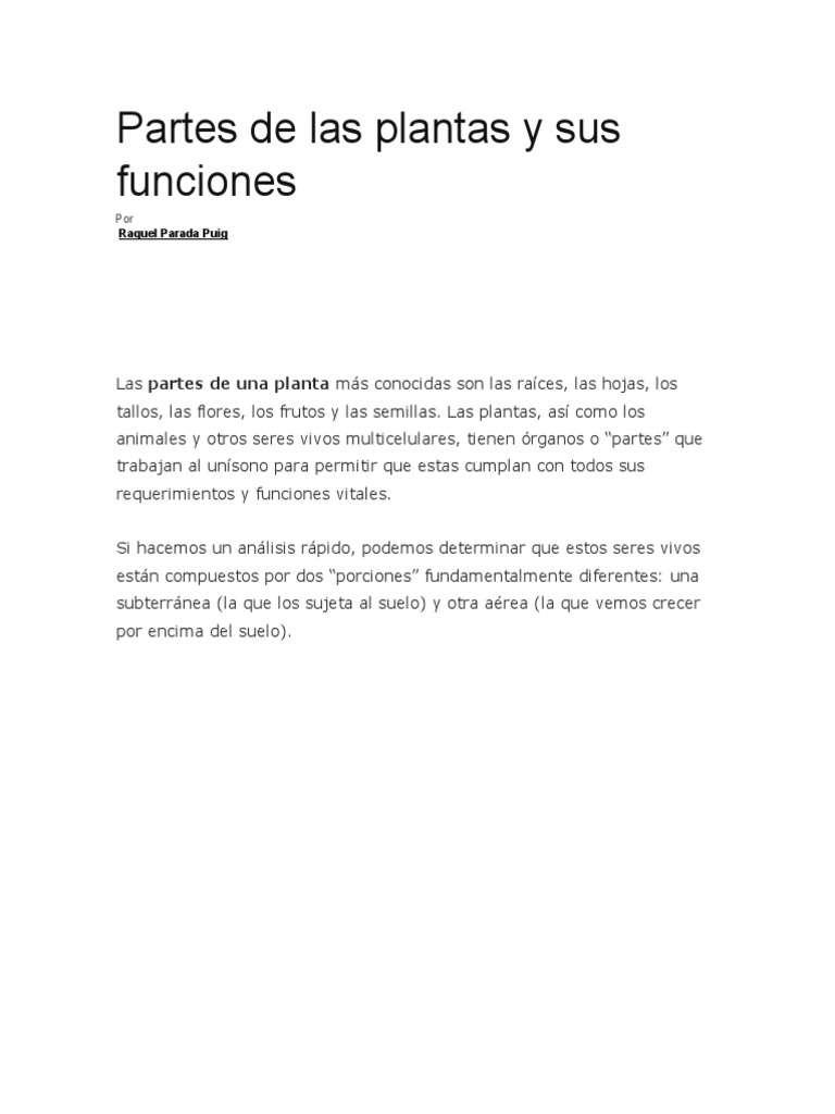 Funcion de Las Plantas | PDF