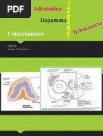 Farmacos Flebotonicos | PDF