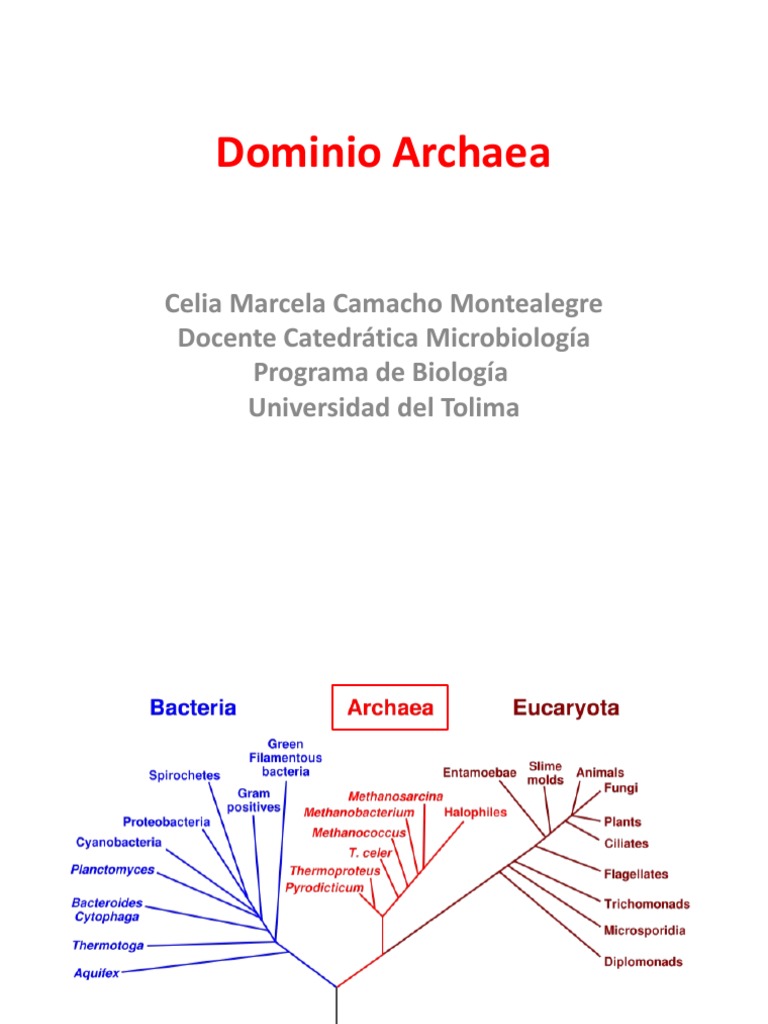 Dominio Archaea I | PDF | Archaea | Organismos