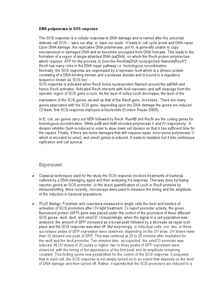 DNA Polymerase in SOS Response | PDF | Dna Repair | Structural Biology