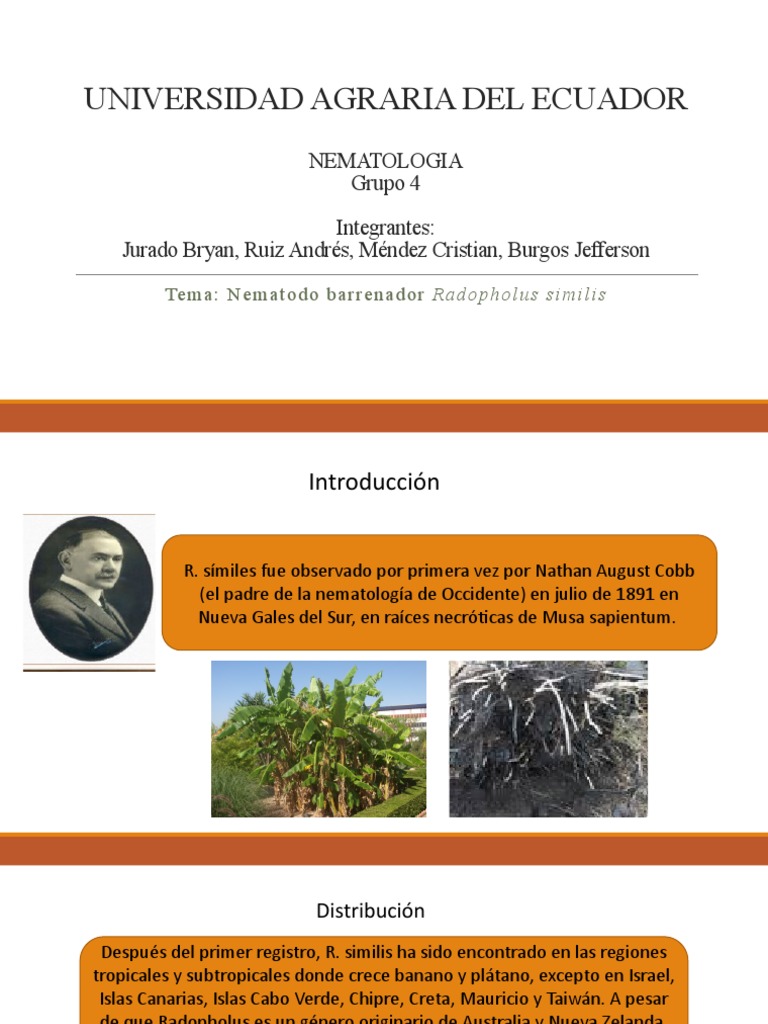 Control de Radopholus similis en Banano | PDF | Nematodo | Suelo