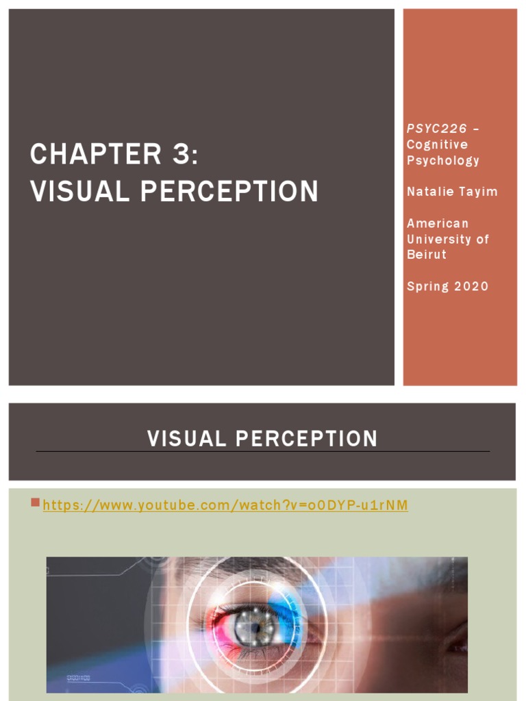 Visual Perception: An In-Depth Exploration of the Visual System ...