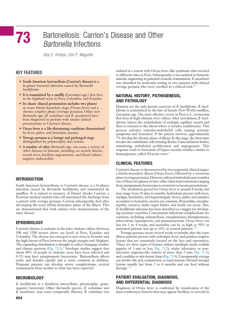 Bartonella Infections: Bartonellosis: Carrion's Disease and Other | PDF ...