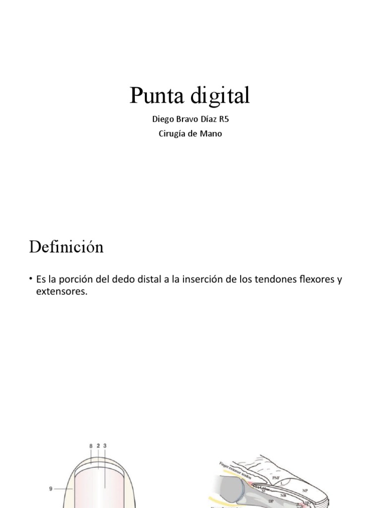 Punta Digital | PDF | Hueso | Medicina CLINICA
