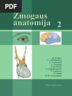 Nemokami Pratybų Atsakymai, Vadovėlių Atsakymai - Spargalka - LT | PDF