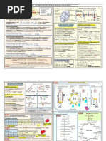 Résumé Du Programme SVT 2 BAC PC BIOF PR Mousstaid | PDF