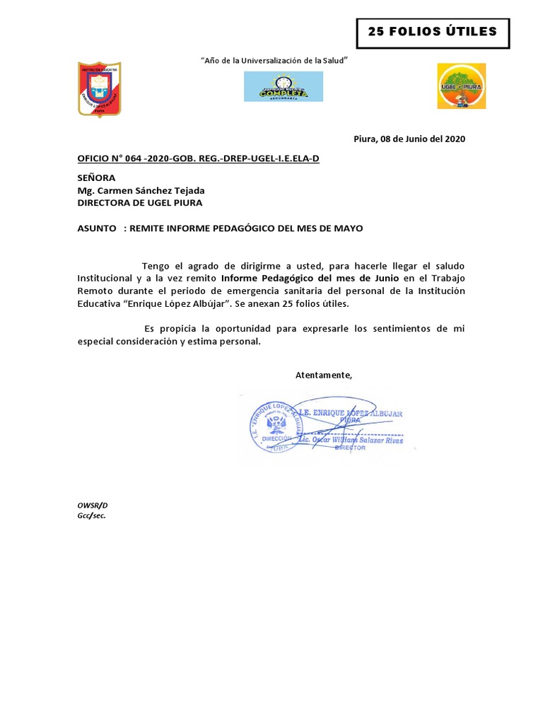 Oficio 064 Informe Pedagógico Mes de Junio | PDF