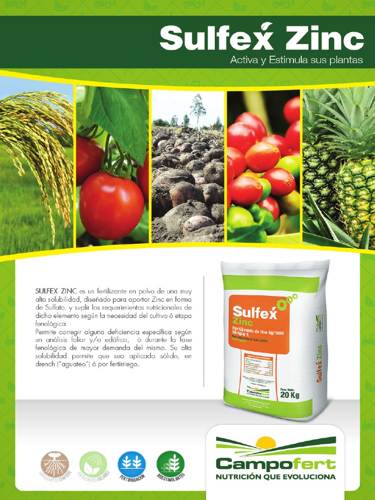 Sulfex Zinc | PDF